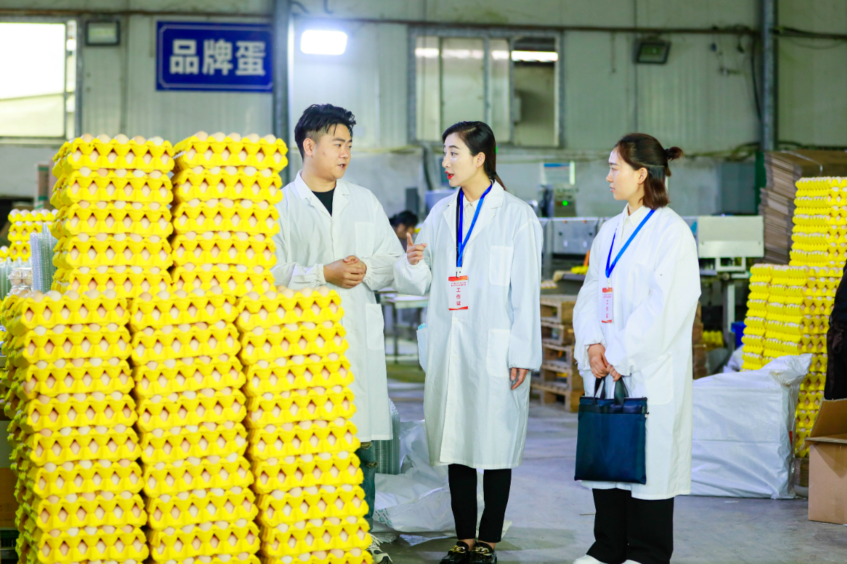 高质量发展践悟丨惩治蝇贪蚁腐 解决急难愁盼